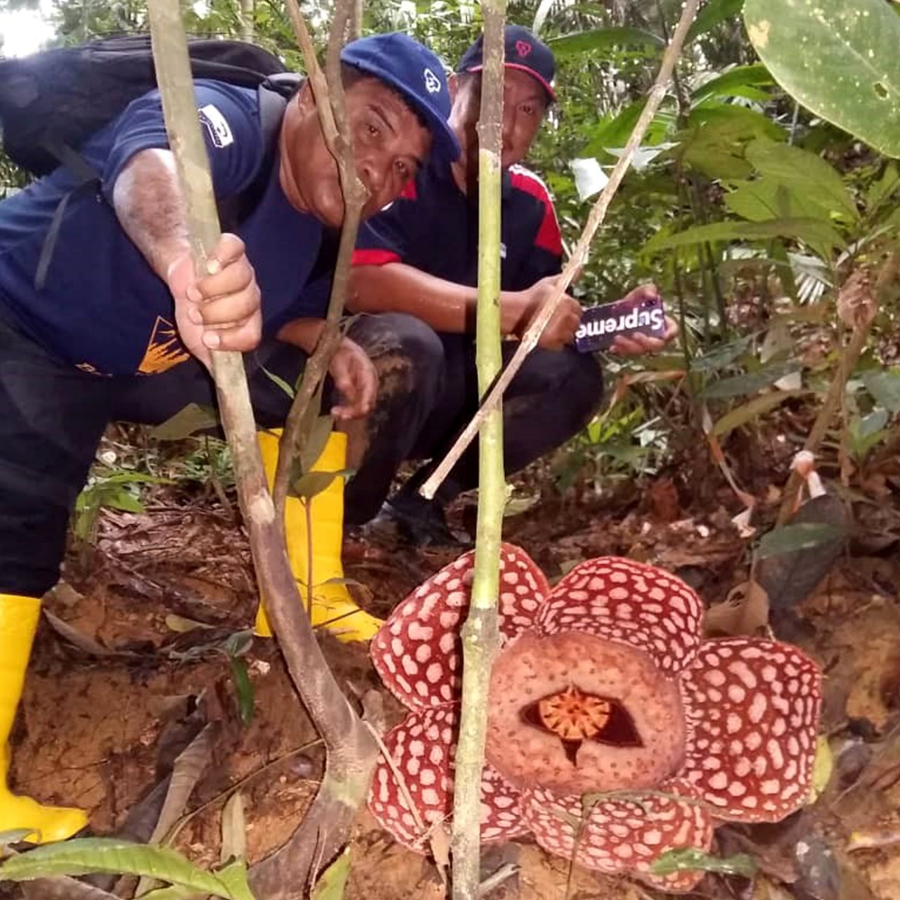 Environment - TNB Genco